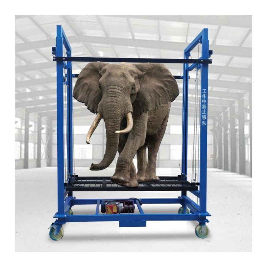 Schela cu motor 6m ridicare 500kg, schela metalica cu motor, schela ...